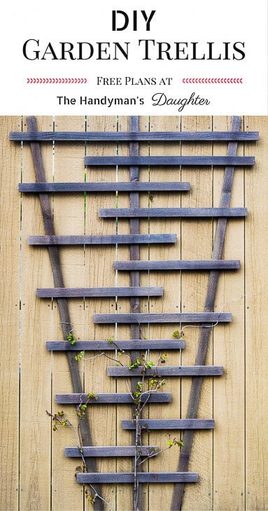 DIY Garden Trellis with Free Plans - The Handyman's Daughter