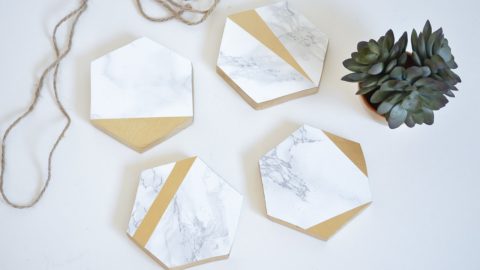 15 Easy DIY Wood Coaster Design Ideas - The Handyman's Daughter