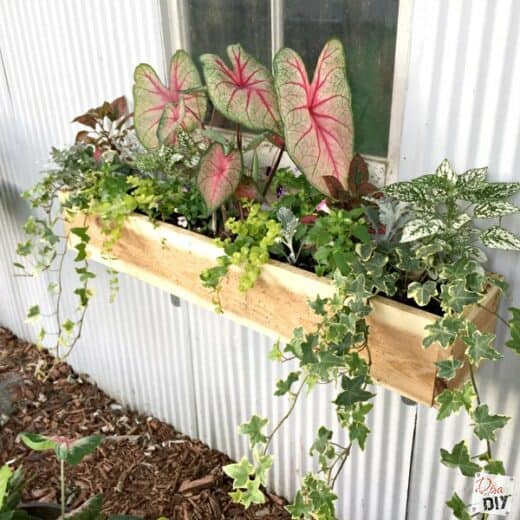 20 Gorgeous DIY Window Box Planter Ideas - The Handyman's Daughter