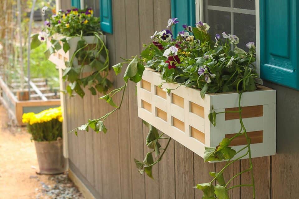 20 Gorgeous DIY Window Box Planter Ideas - The Handyman's Daughter