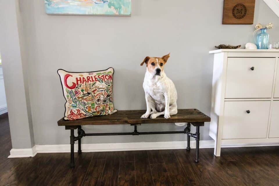 30 Amazing DIY Bench Ideas for Every Room - The Handyman's Daughter