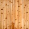 Cedar vs Pressure Treated Lumber - The Handyman's Daughter