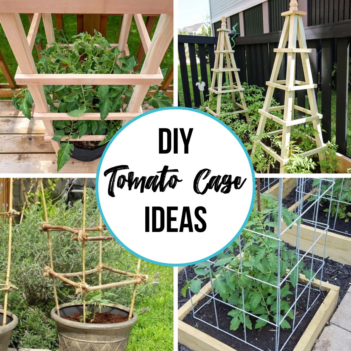DIY Tomato Cage Ideas for Your Garden - The Handyman's Daughter