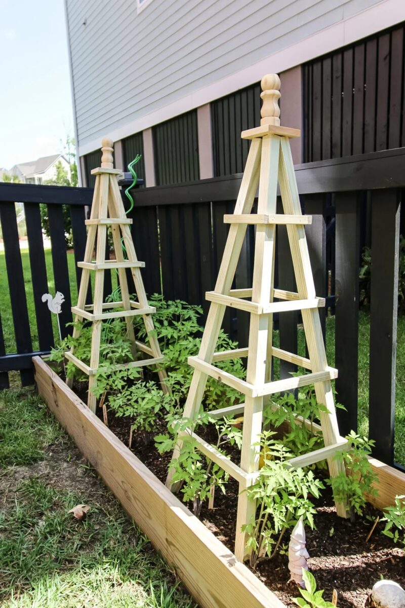 DIY Tomato Cage Ideas for Your Garden - The Handyman's Daughter