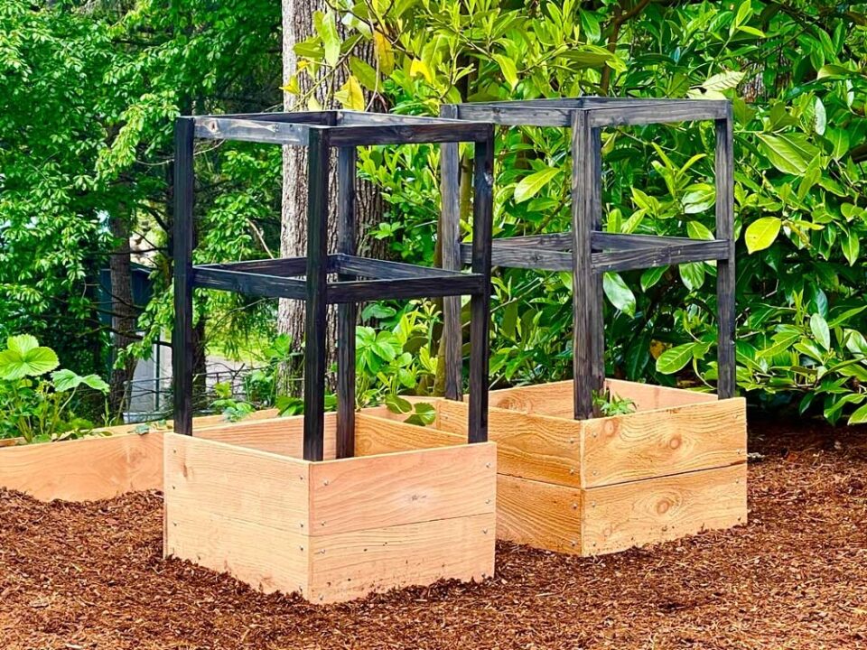 DIY Tomato Cage Ideas for Your Garden - The Handyman's Daughter