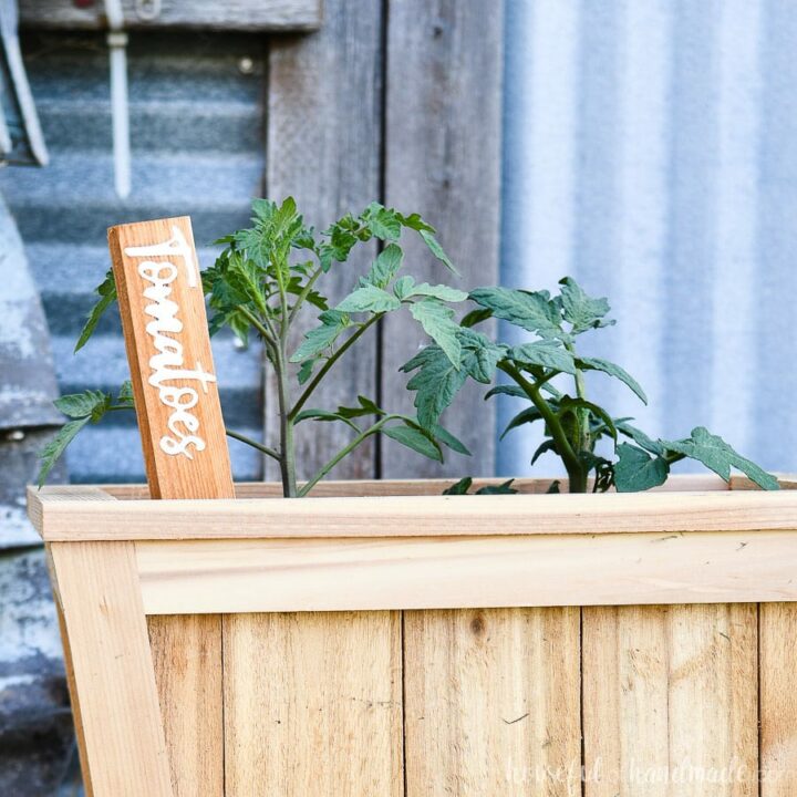 20 Creative DIY Plant Labels for Your Garden - The Handyman's Daughter