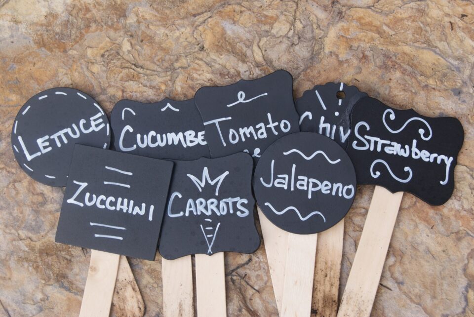 20 Creative DIY Plant Labels for Your Garden - The Handyman's Daughter
