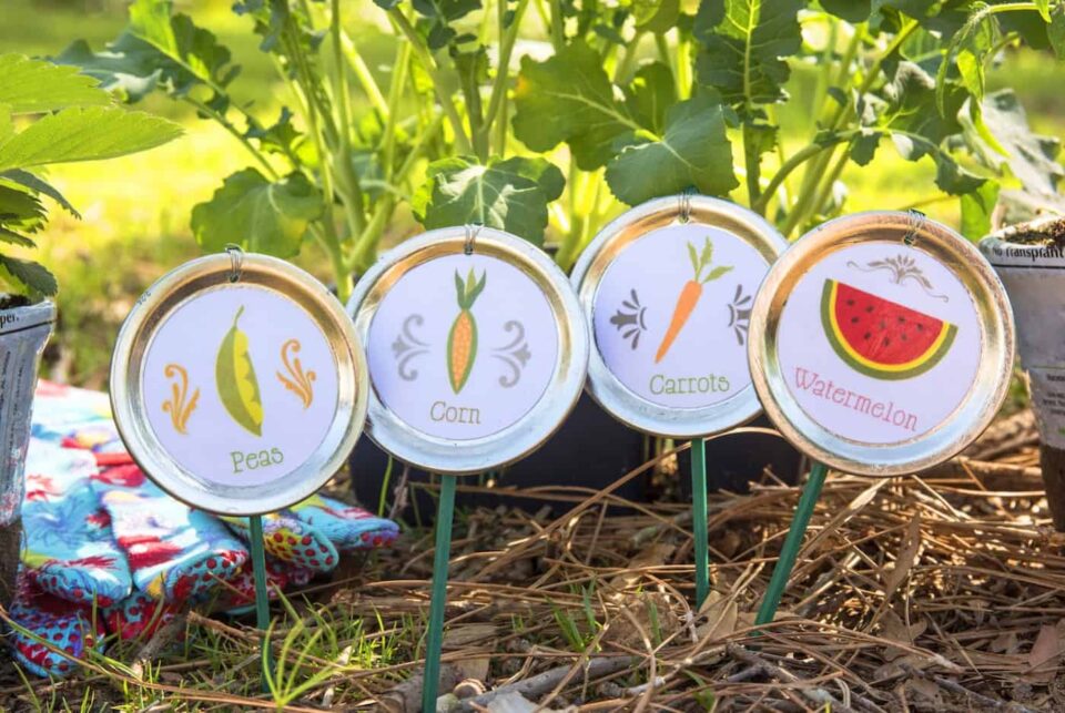 20 Creative DIY Plant Labels for Your Garden - The Handyman's Daughter
