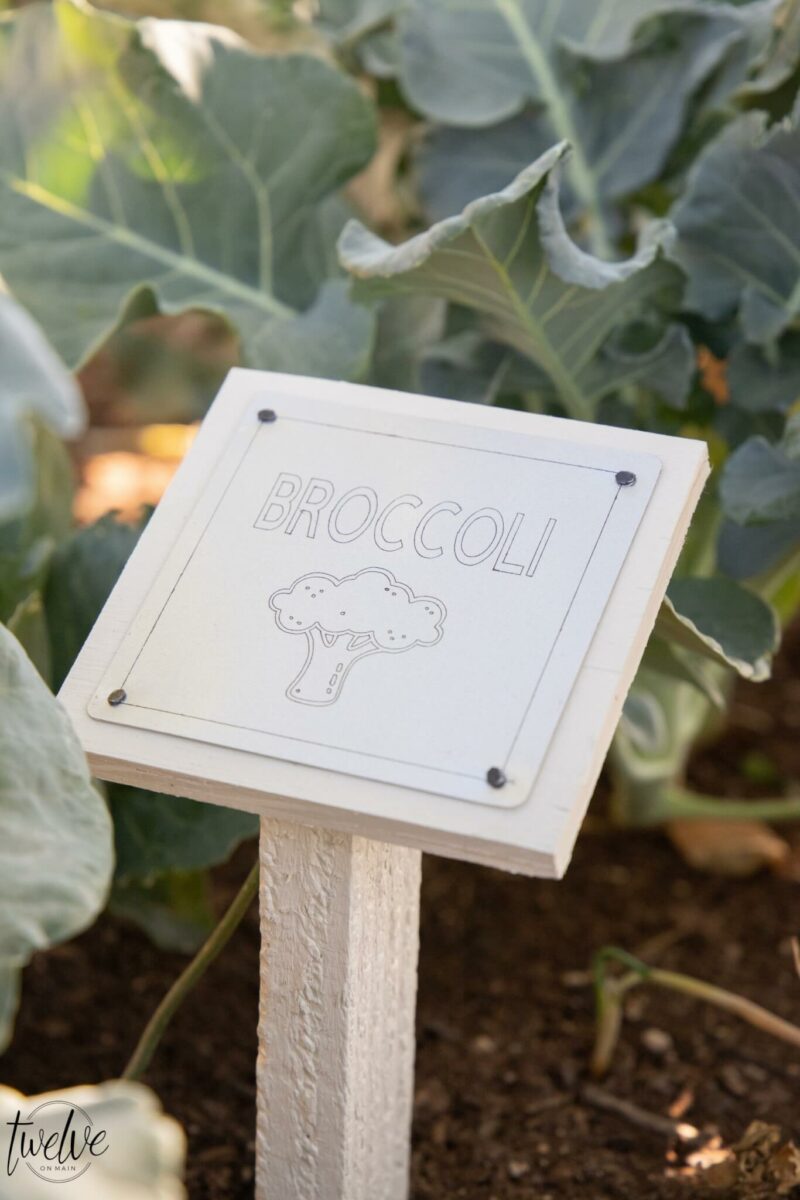 20 Creative DIY Plant Labels for Your Garden - The Handyman's Daughter