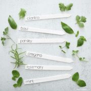 20 Creative DIY Plant Labels for Your Garden - The Handyman's Daughter