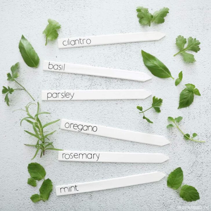20 Creative DIY Plant Labels for Your Garden - The Handyman's Daughter