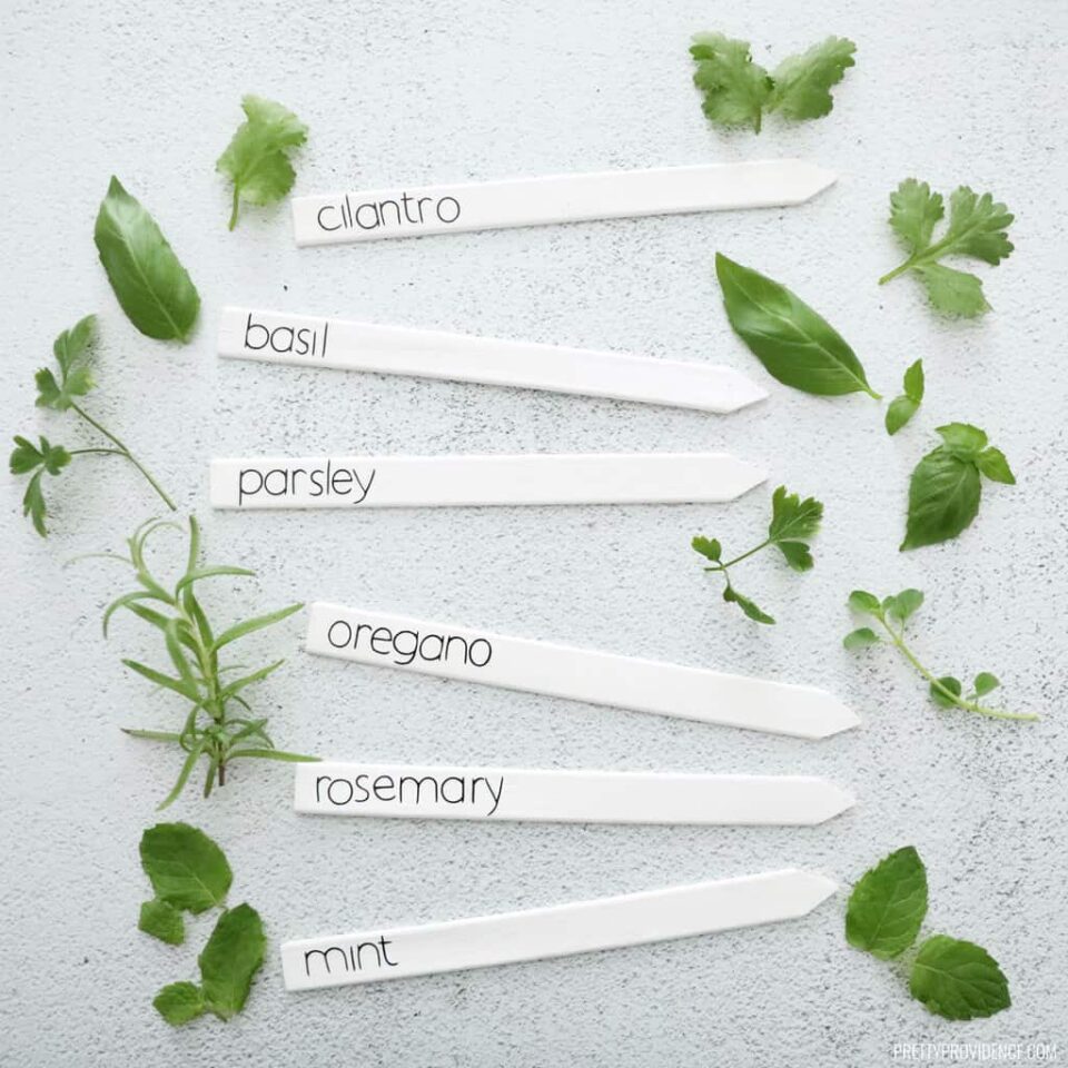 20 Creative DIY Plant Labels for Your Garden - The Handyman's Daughter