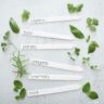 20 Creative DIY Plant Labels for Your Garden - The Handyman's Daughter