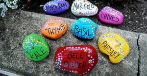 20 Creative DIY Plant Labels for Your Garden - The Handyman's Daughter