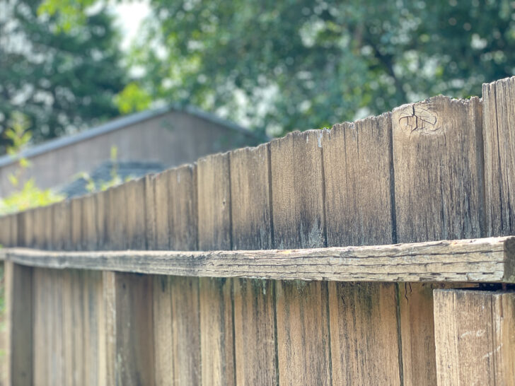 How to Make a Fence Top Trellis - The Handyman's Daughter