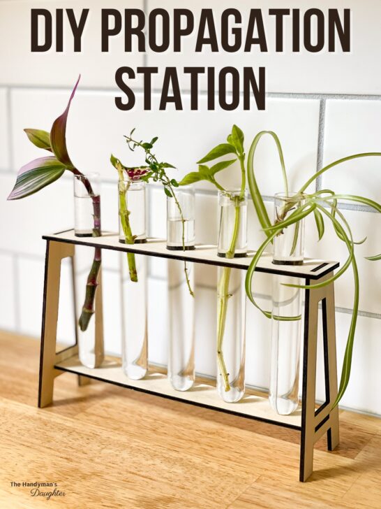 DIY Plant Propagation Station - The Handyman's Daughter