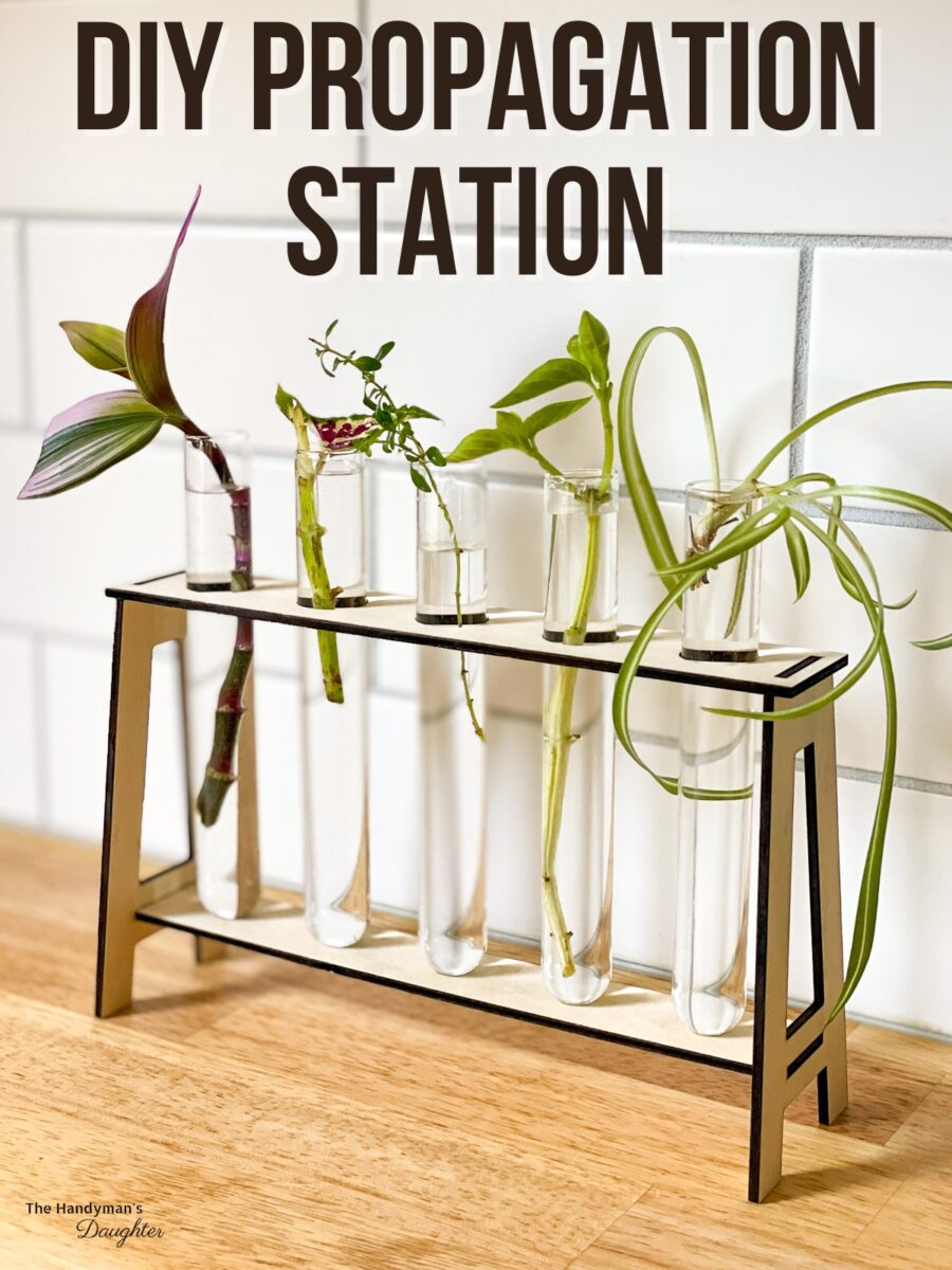 DIY Plant Propagation Station - The Handyman's Daughter