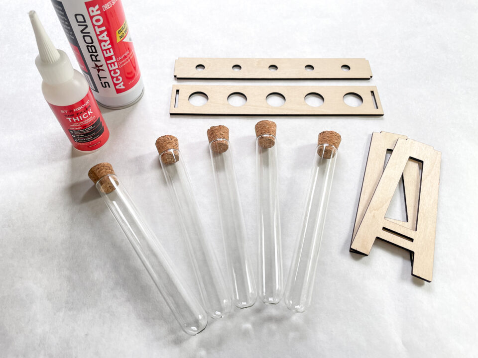 DIY Plant Propagation Station - The Handyman's Daughter