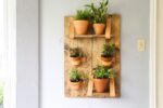 20 DIY Wall Planter Ideas to Elevate Your Space - The Handyman's Daughter