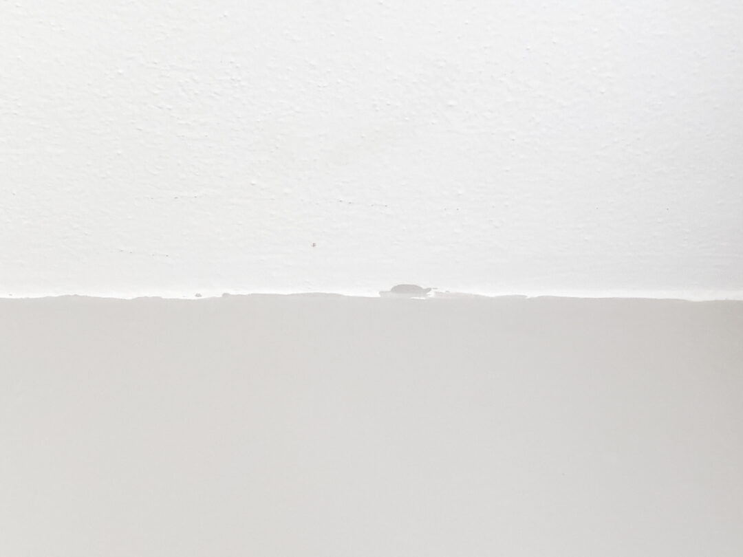 How to Paint Straight Lines [3 Different Methods] - The Handyman's Daughter