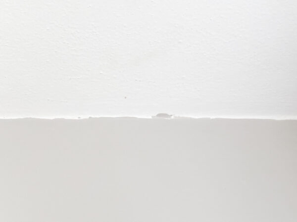 How to Paint Straight Lines [3 Different Methods] - The Handyman's Daughter