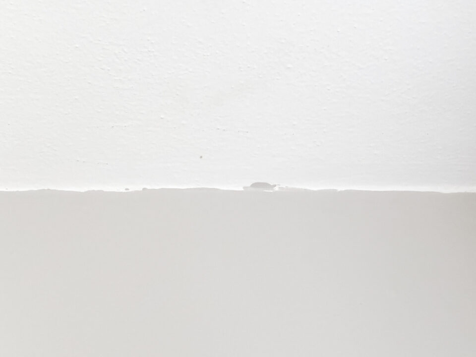 How to Paint Straight Lines [3 Different Methods] - The Handyman's Daughter