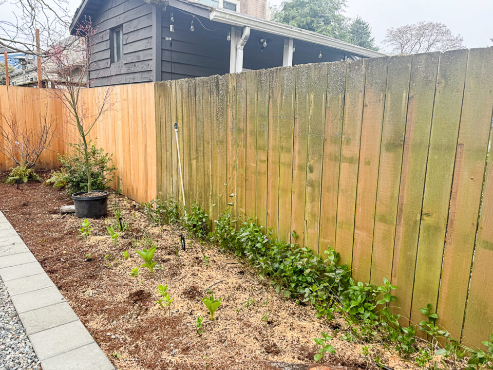 How to Replace Fence Panels or Pickets - The Handyman's Daughter