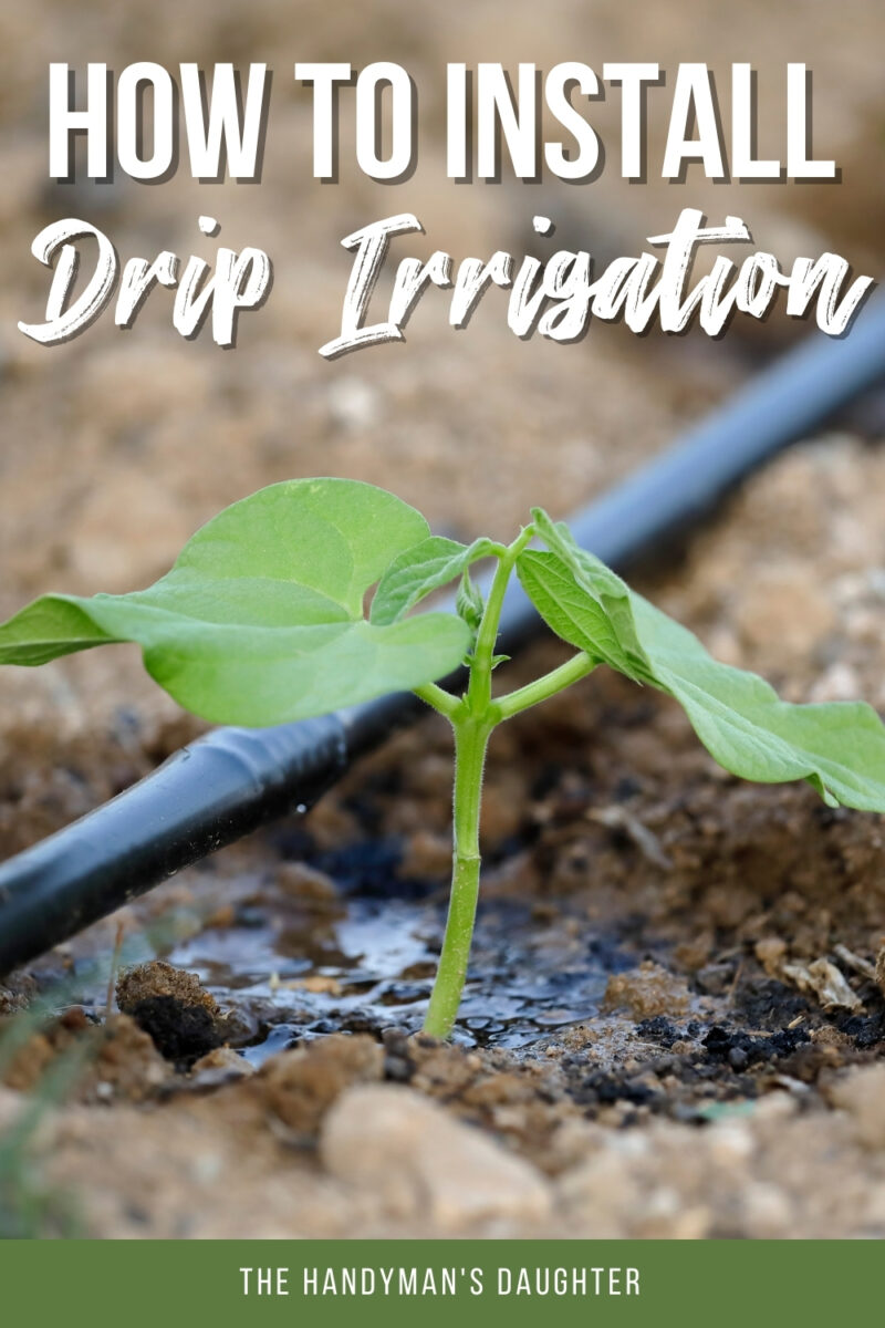 How to Install Drip Irrigation for Flower Beds - The Handyman's Daughter